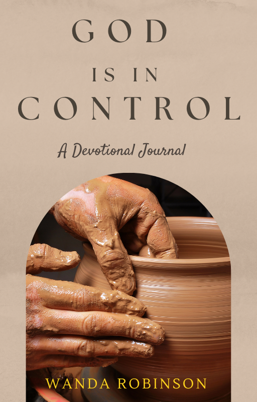 God is in Control A Devotional Journal - Oldhippys